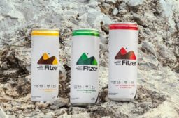 Fitzer: el primer Hard Seltzer en México - THE FOOD TECH - Medio de ...