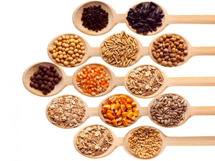 Cereales con alto contenido nutrimental celebran su día