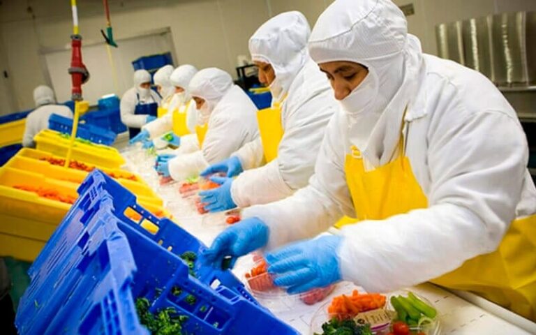 Inocuidad de los alimentos celebra su día a nivel mundial