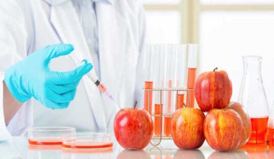 Innovación y tecnología: el futuro de la alimentación