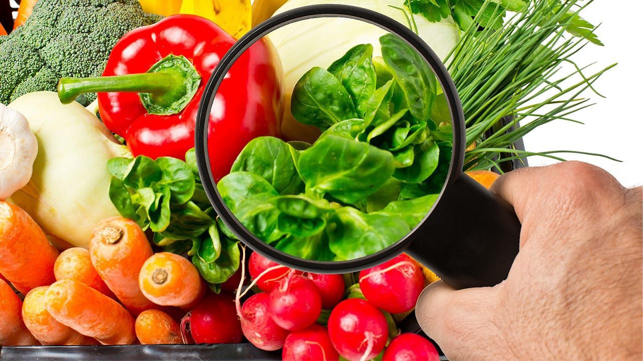 Inocuidad de alimentos y su importancia en la industria restaurantera