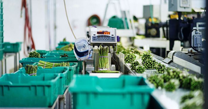 ¿Cómo lograr sistemas sustentables y seguros en la producción de alimentos?