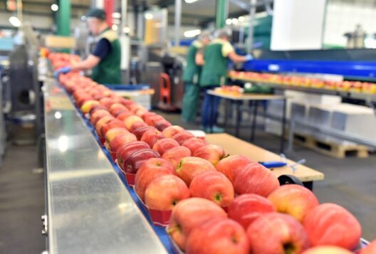 cadena de suministro de alimentos - THE FOOD TECH - Medio de noticias líder en la Industria de ...