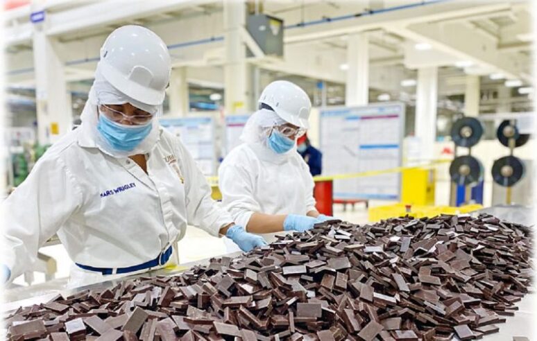 El chocolate y el cacao celebran su día con nuevos lanzamientos