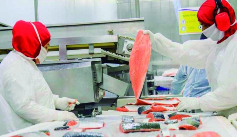 Inocuidad de alimentos, indispensable para un consumo confiable