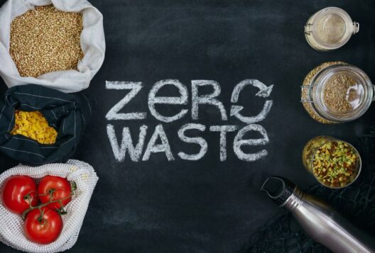 desperdicio de alimentos - THE FOOD TECH - Medio de noticias líder en la Industria de Alimentos ...