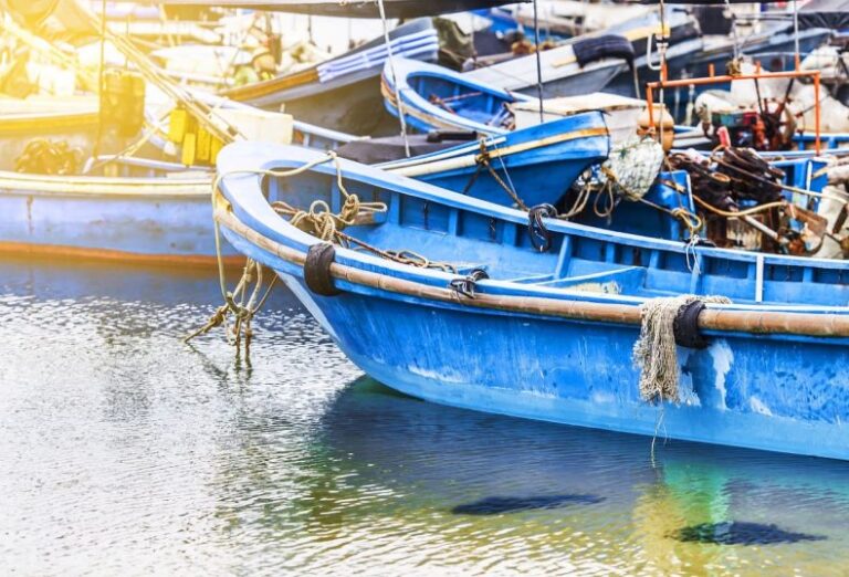 Pesca sostenible: cadena de alimentos lanza su marca propia MSC