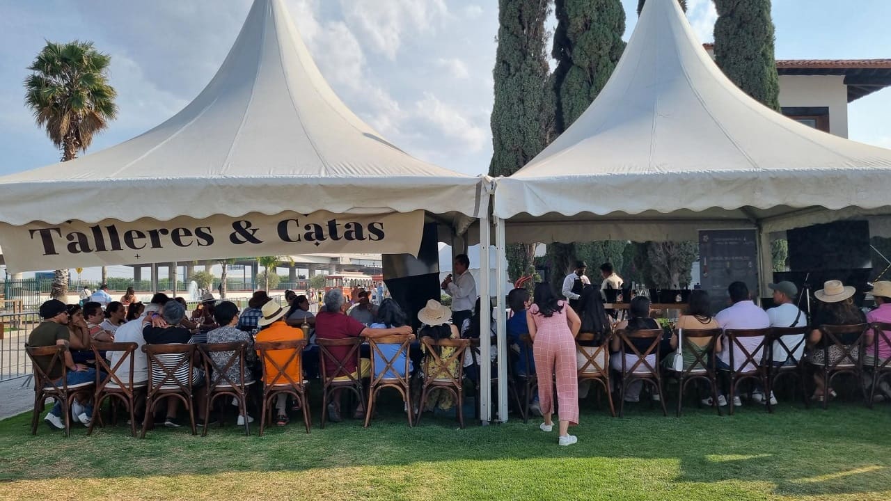 Freixenet México festeja la quinta edición de su Bubble Fest con vinos ...