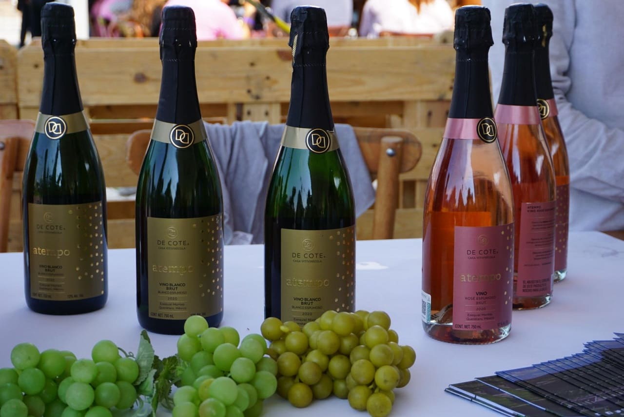 Freixenet México festeja la quinta edición de su Bubble Fest con vinos ...