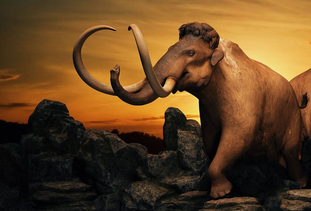 Albóndigas de mamut son el nuevo prototipo de la carne cultivada - The ...
