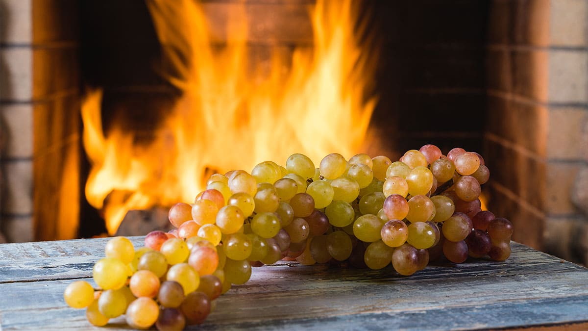 ¿Qué es el smoke taint que afecta a los vinos?