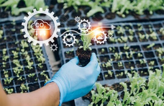 Conoce los beneficios de la biotecnología agricola