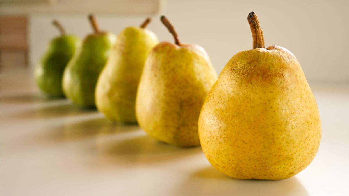 Conoce las etapas de maduración de la pera - The Food Tech