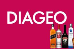 Packaging y Diageo: Las estrategias de empaque que definen la ...
