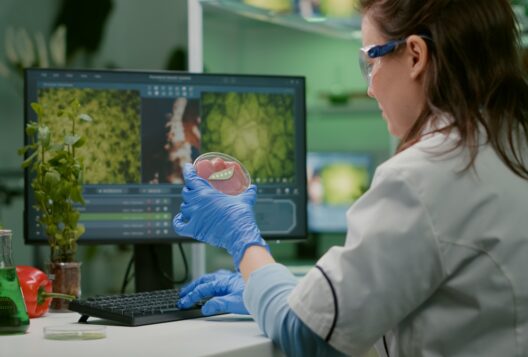 deterioro de alimentos - THE FOOD TECH - Medio de noticias líder en la Industria de Alimentos y ...