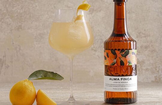 Descubre el licor yucateco Alma Finca
